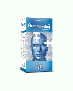 Ayurvedic Brain Power Capsules, Best Herbal Memory Enhancer Pills